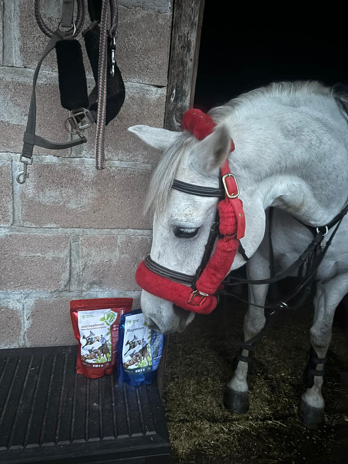 Equine Products Protek